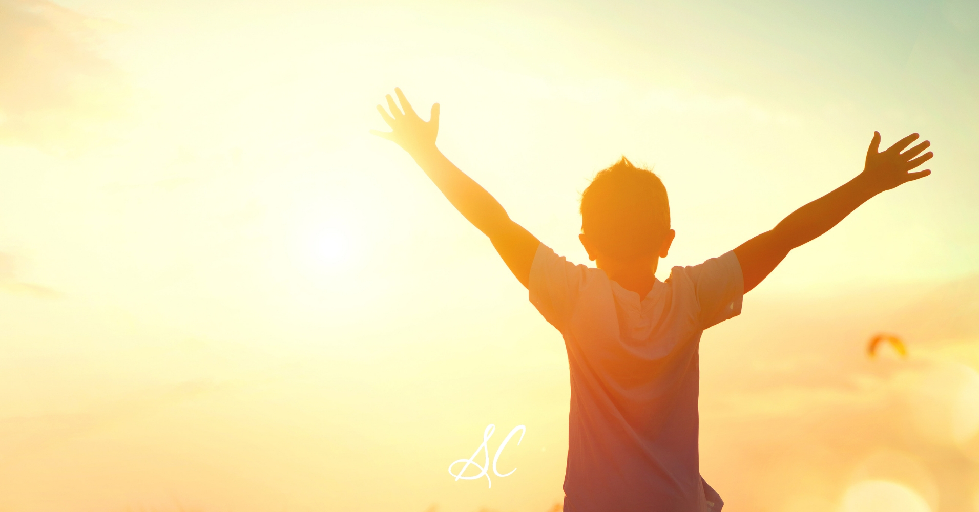 See Your Strong-Willed Child in a New Light - Susan Chrisman